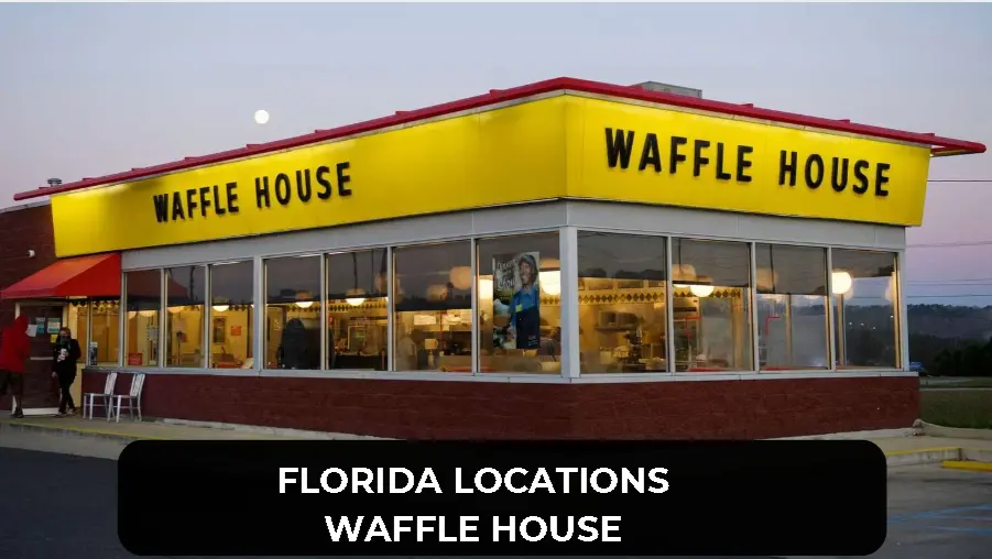 Waffle House in Florida |Indulge in Amazing Meal 24/7